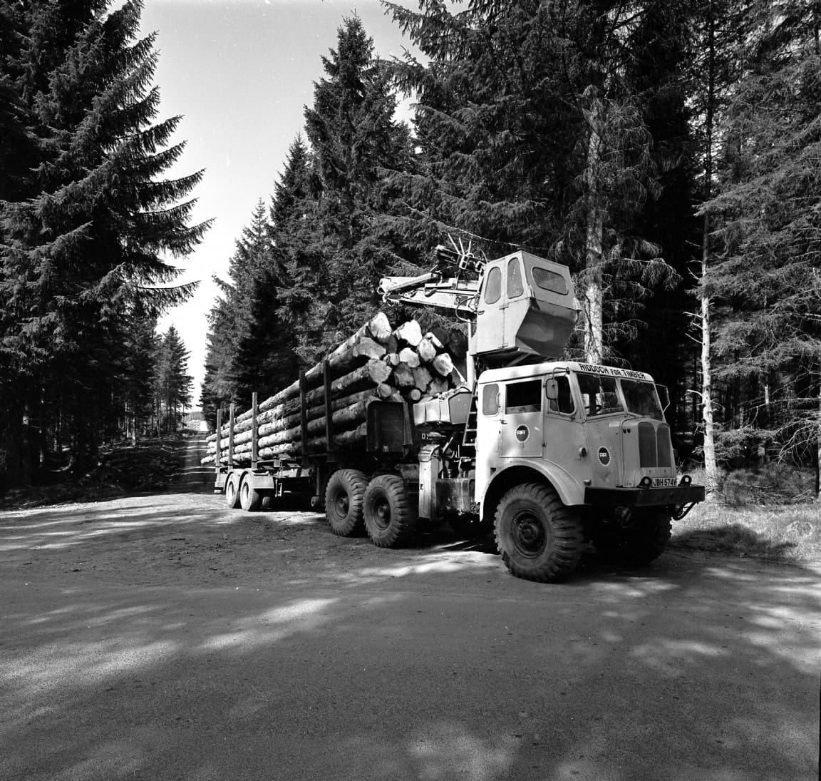 Royal Scottish Forestry Society | For those who love the forests ...